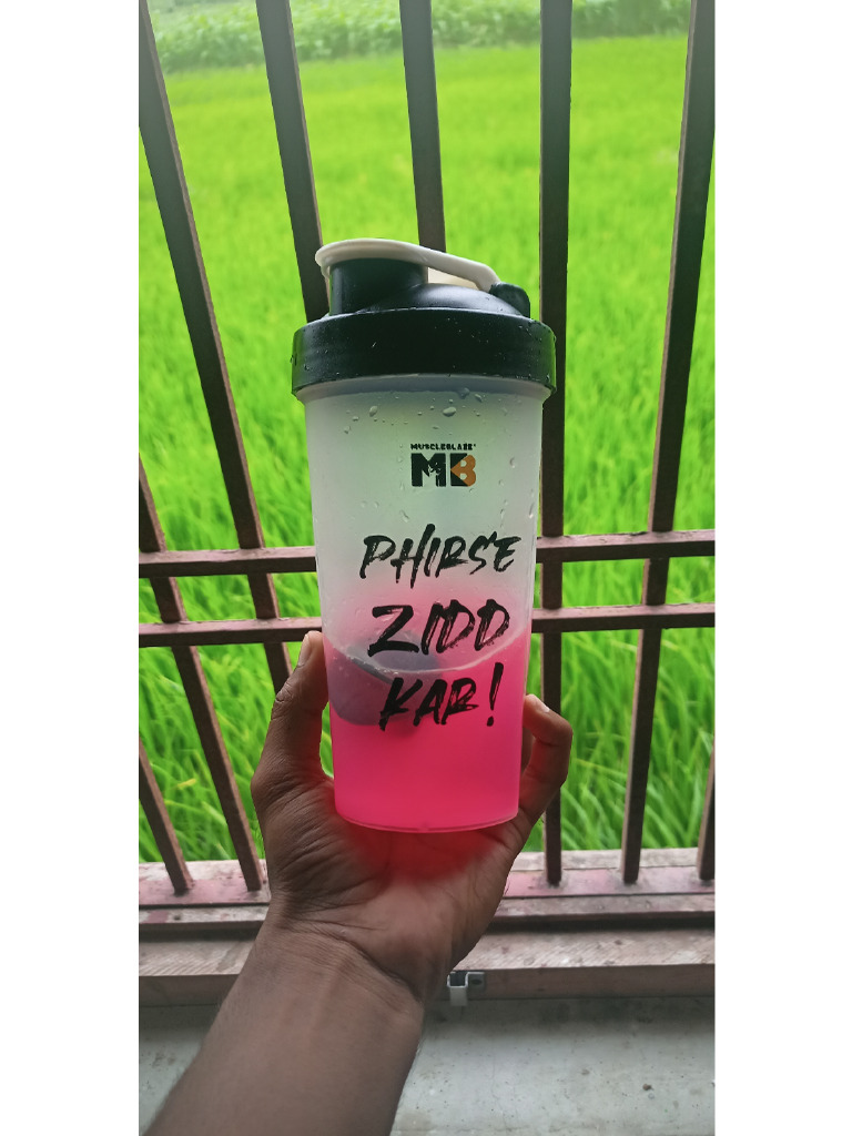 Downloadfile Bin | PDF