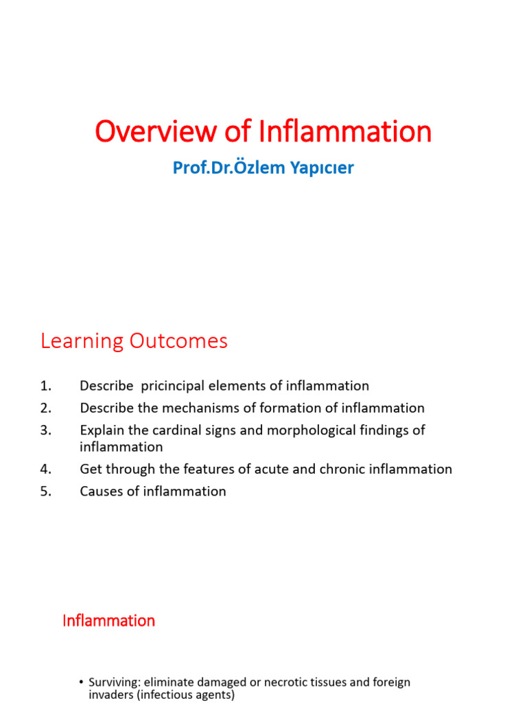Understanding Inflammation: Causes & Effects | PDF | Inflammation ...
