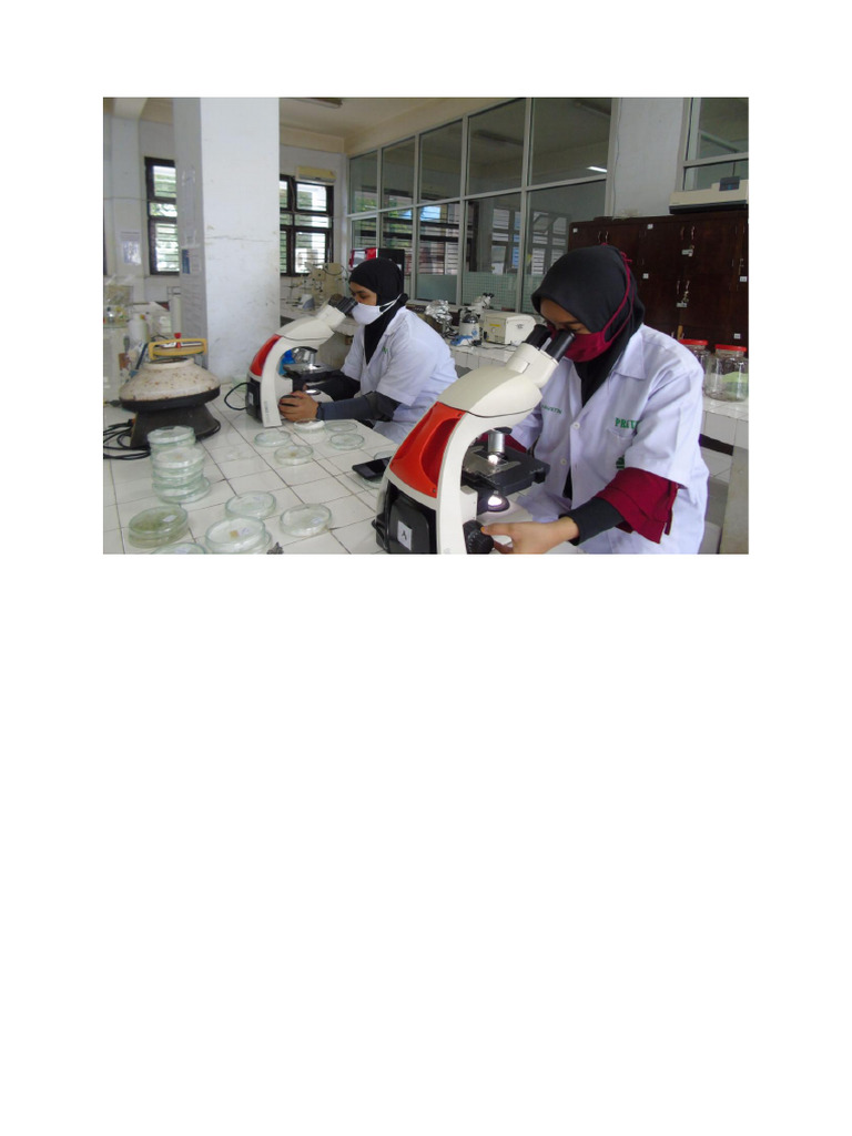 Lab Biologi | PDF