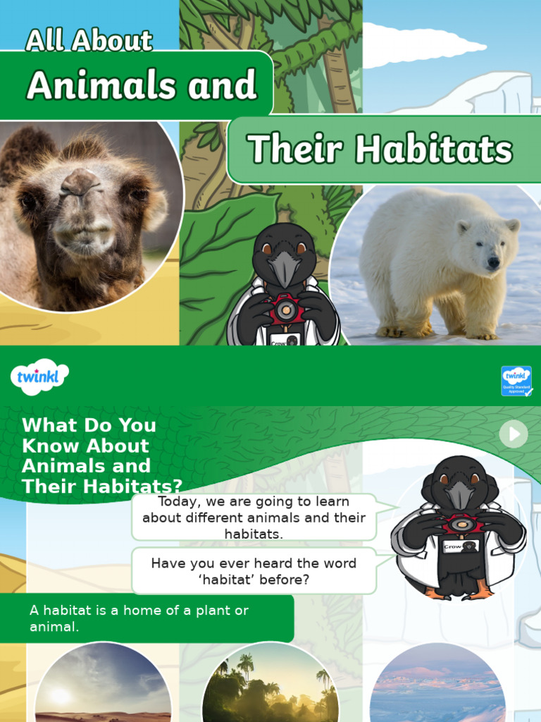 T TP 1731935428 All About Animals and Their Habitats Powerpoint Ver 2 ...