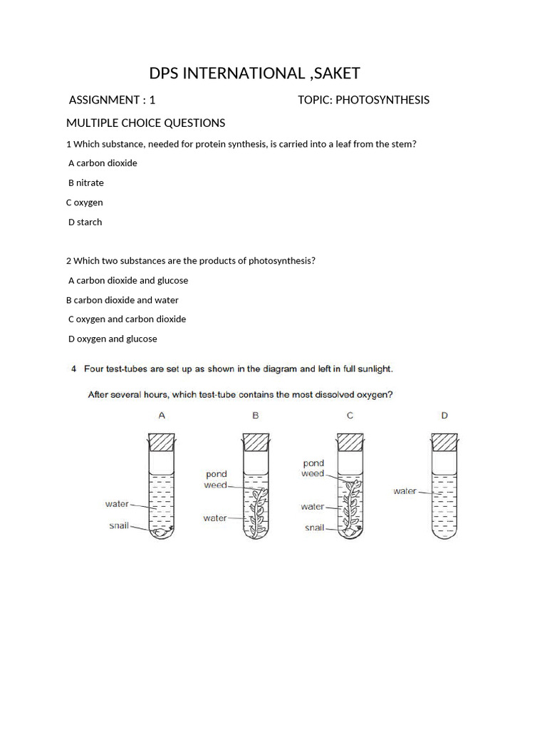 Photosynthesis Assignment for Class 8 | PDF | Photosynthesis | Nature