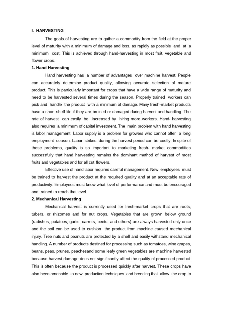 Harvesting and Post-Harvest Handling Guide | PDF | Vegetables | Onion
