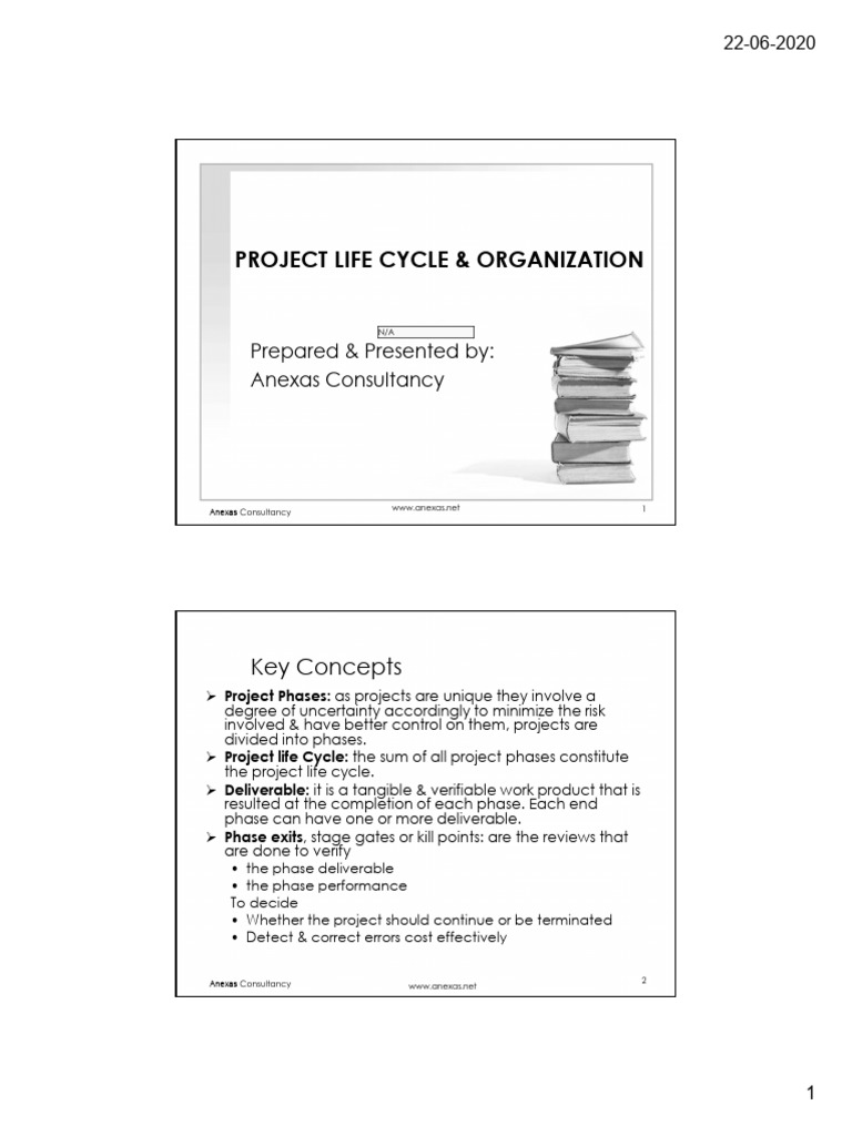 Life Cycle Organization | PDF | Project Management | Organizational ...