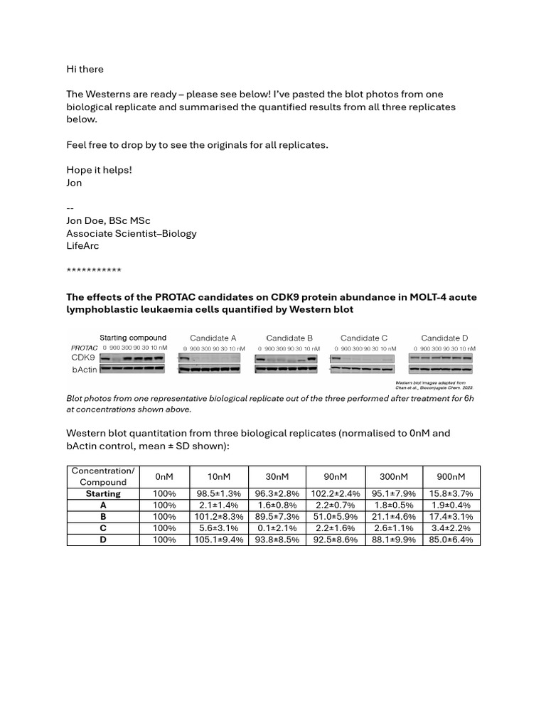 Task3 Western Blot Quantitation | PDF
