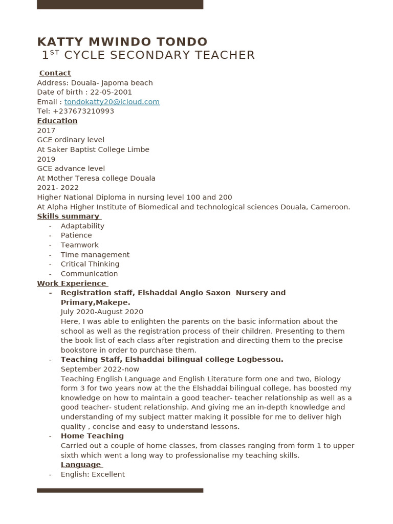 Curriculum Vitae For A Teaching Job at The First Cycle | PDF