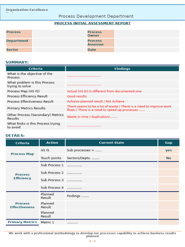 01 - Initial Assessment Template | PDF
