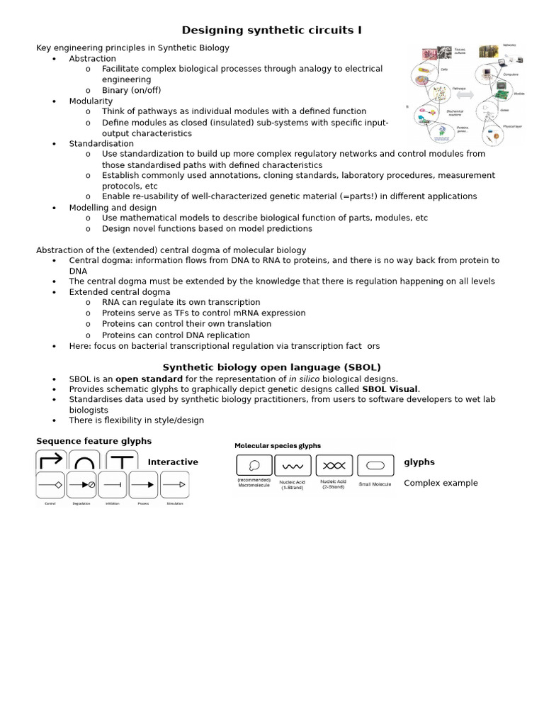 L3&4 Designing Synthetic Circuits | PDF | Gene | Gene Expression