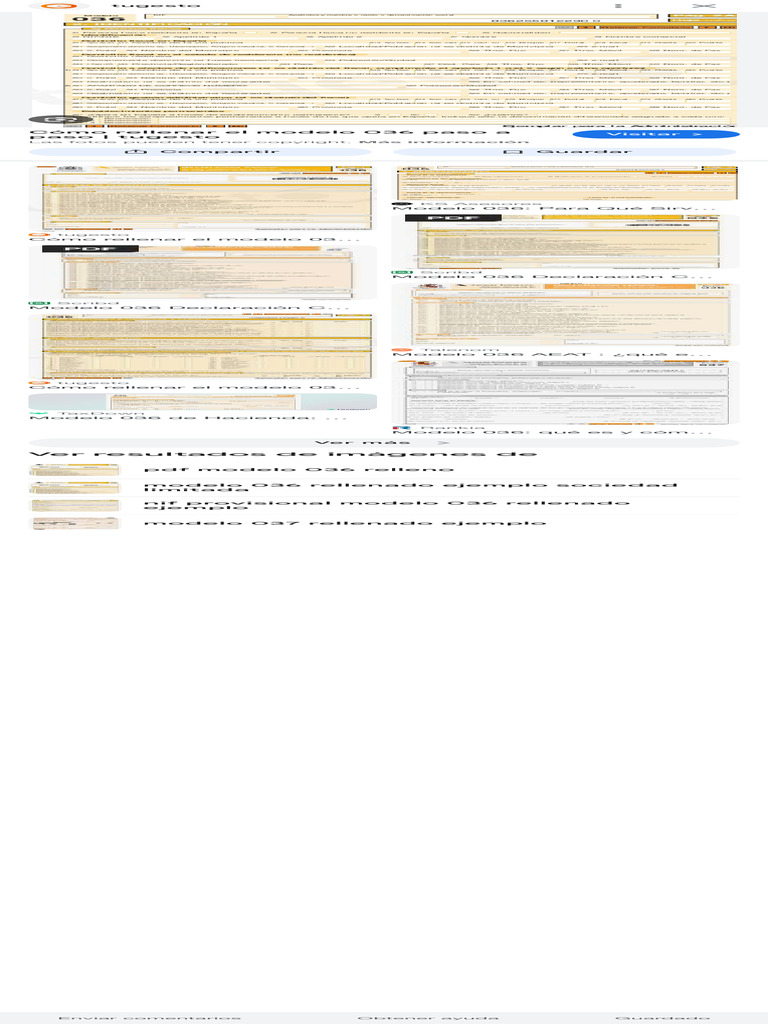 Modelo 036 Rellenado Ejemplo PDF - Buscar Con Google | PDF