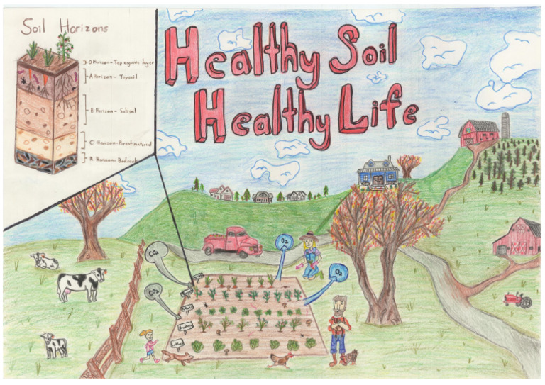 Soil Conservation Poster - 1 | PDF