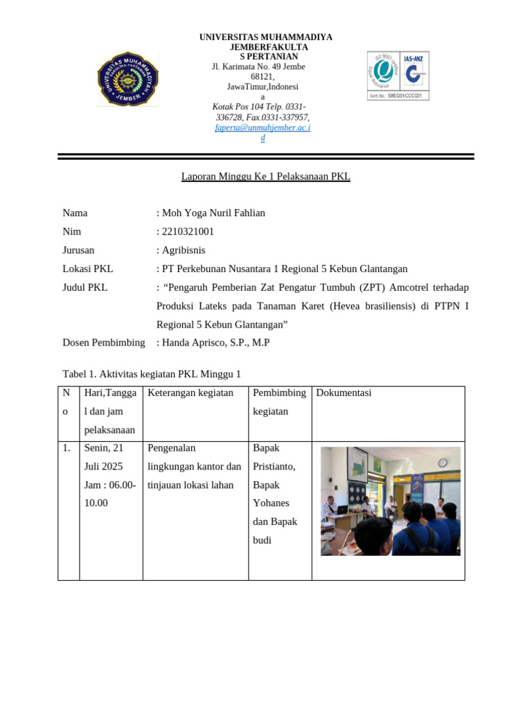 Laporan Mingguan PKL | PDF