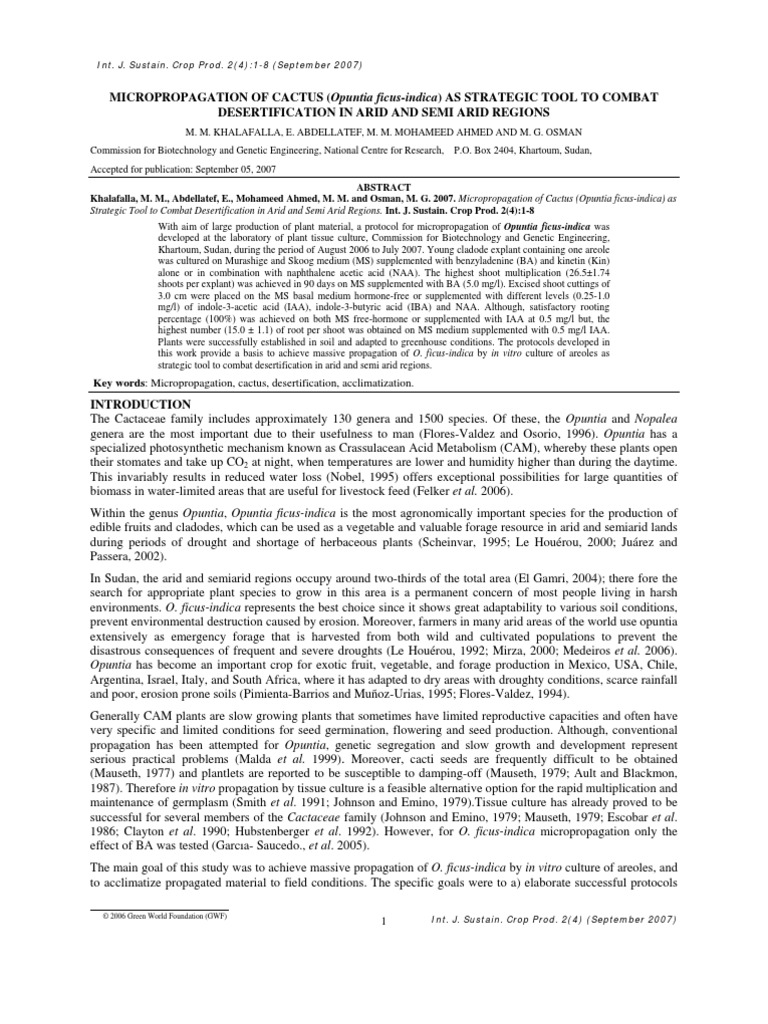 Cactus Tissue Culture | PDF | Agriculture | Horticulture And Gardening