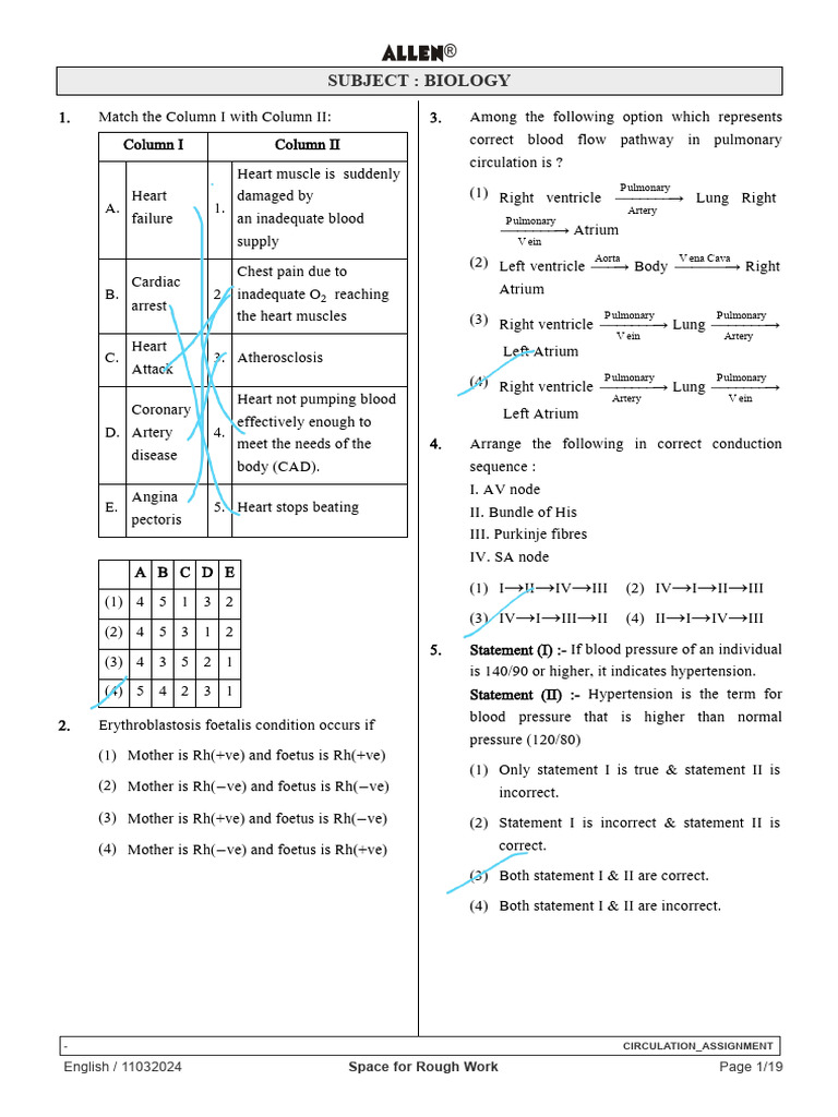 Biology Circulation Assignment Questions | PDF | Heart | Circulatory System
