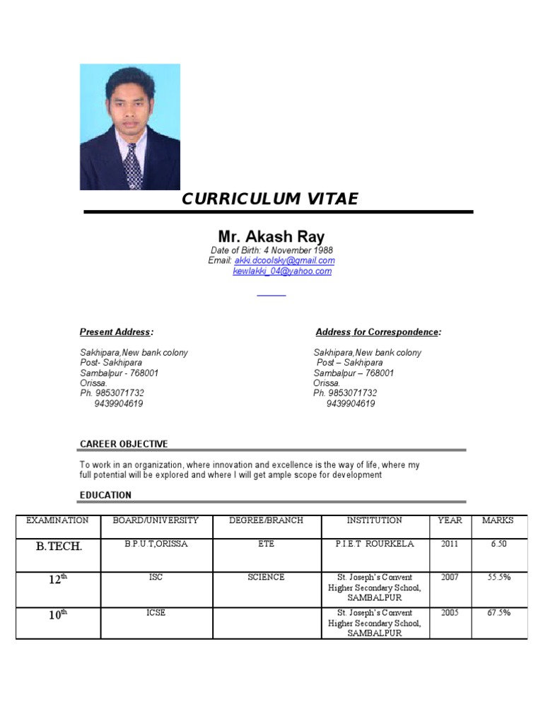 Akash Ray's Curriculum Vitae | PDF