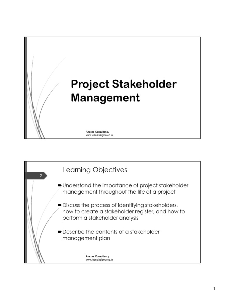 Project Stakeholder Management Guide | PDF | Project Management ...