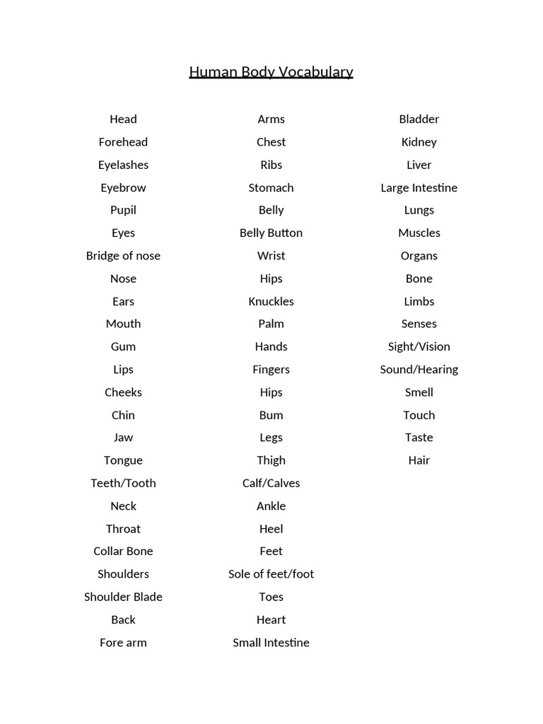 Human Body Vocabulary Classroom Posters Warmers Coolers Worksheet ...