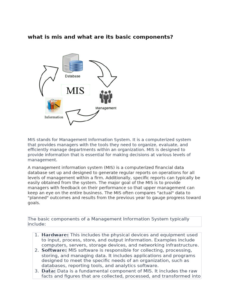 MIS Stands For Management Information System | PDF | Cloud Computing ...
