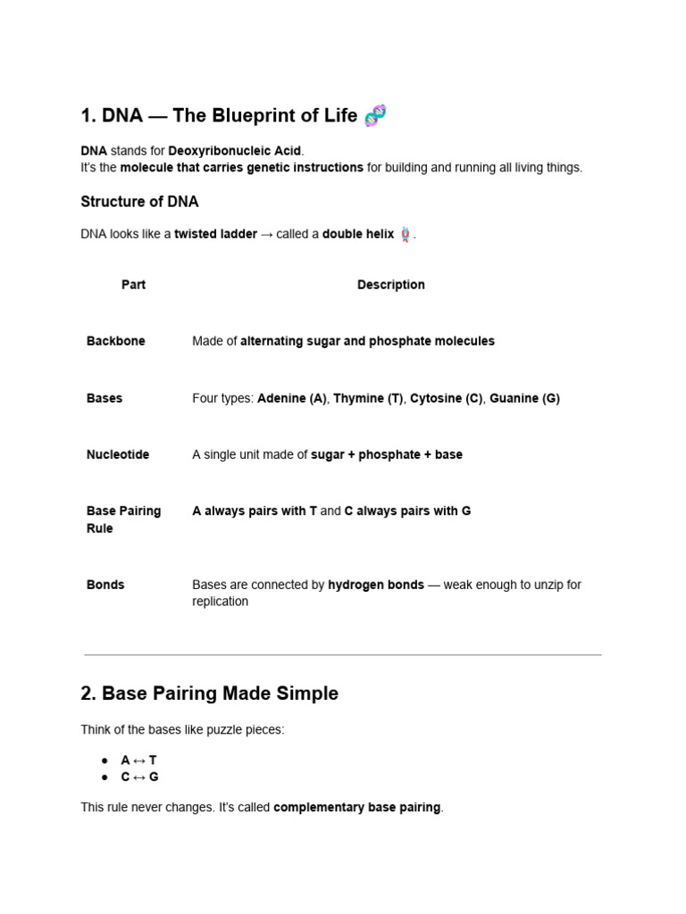 DNA - The Blueprint of Life | PDF