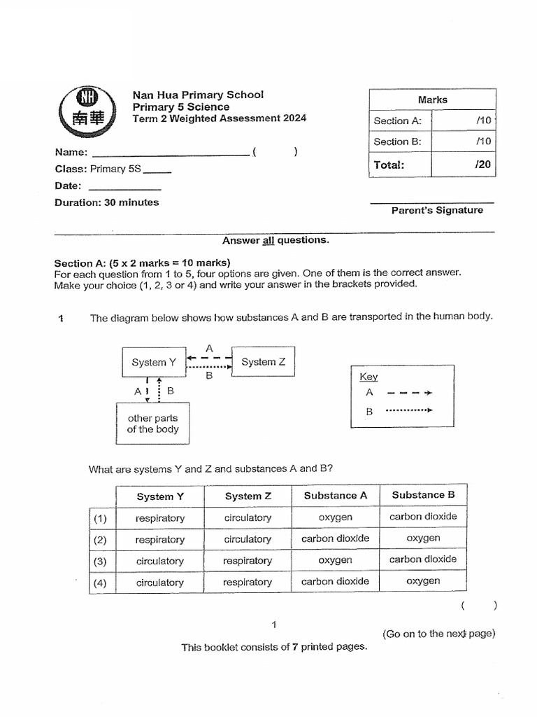 2024 P5 Science Term 2 Review Nan Hua | PDF