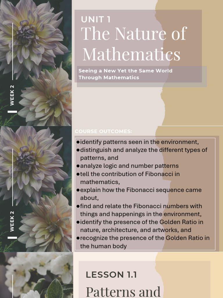 Patterns and Mathematics in Nature | PDF | Pattern | Fractal