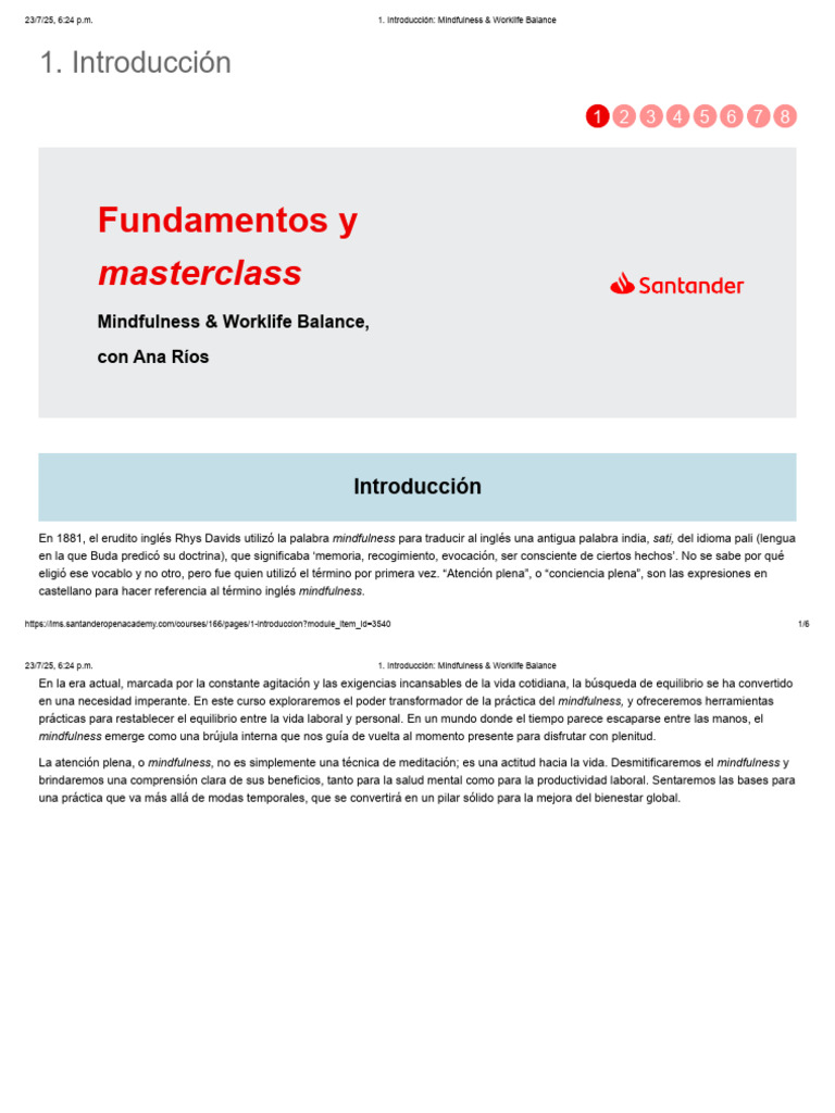 Introducción - Mindfulness & Worklife Balance | PDF | Atención plena | Las emociones