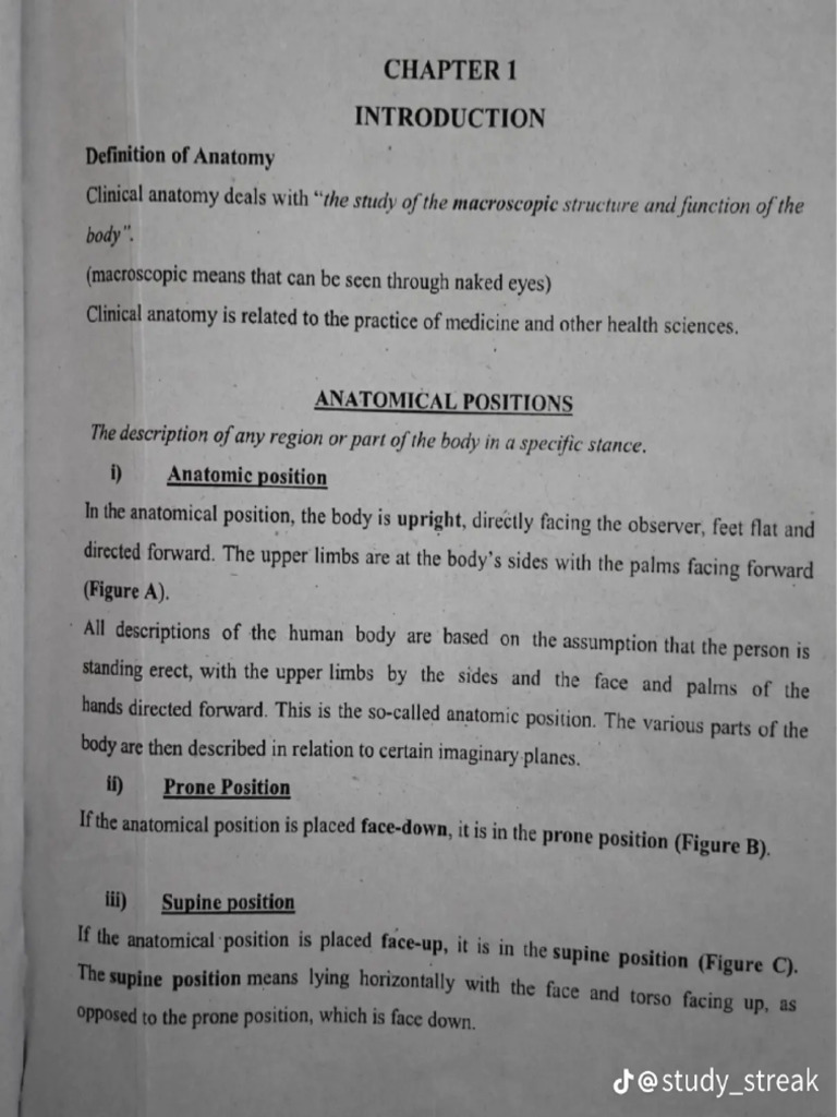 Anatomical Positions | PDF