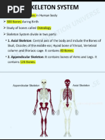 206 Human Bones Detailed Chart | PDF