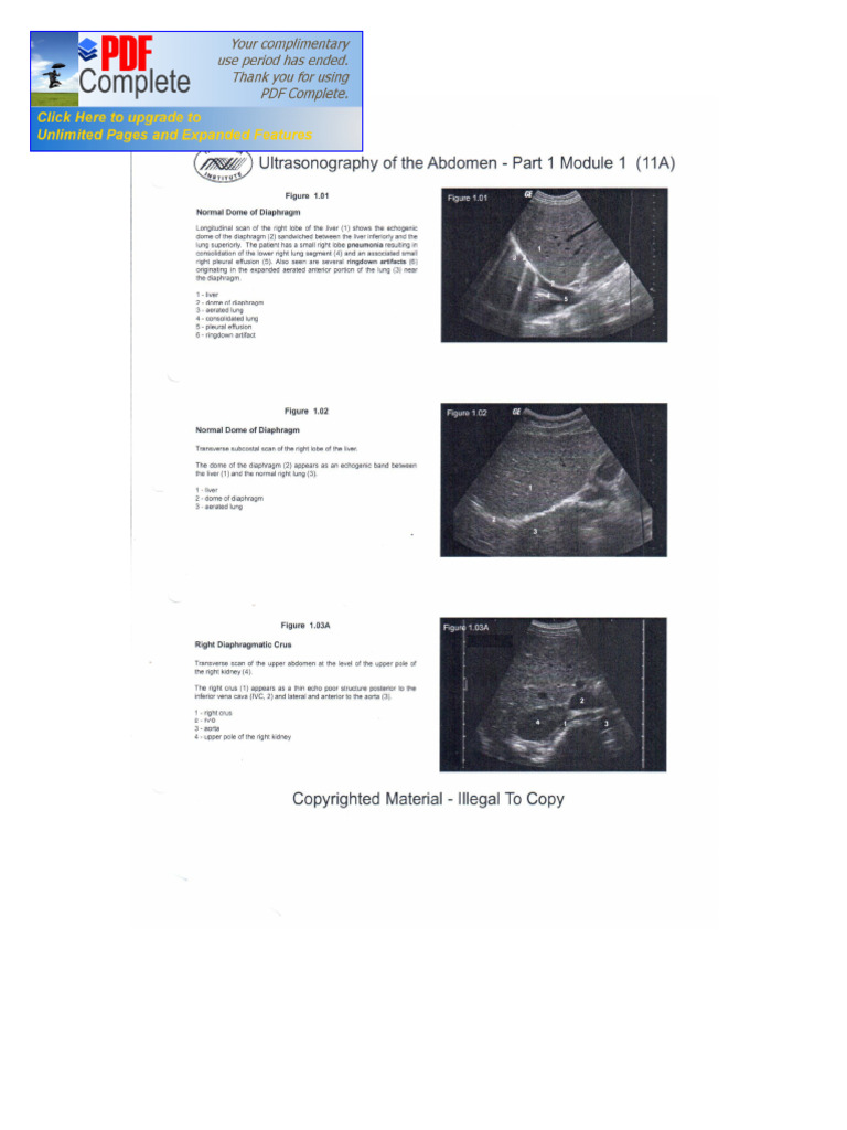 ABD 1-1 Atlas | PDF