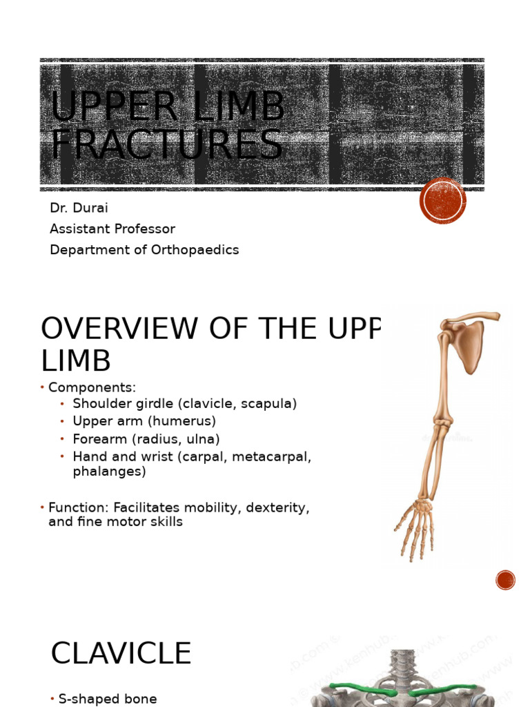 Upper Limb Fractures Overview | PDF | Elbow | Hand
