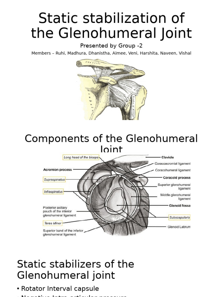 Static Stabilization of Glenohumeral Joint | PDF