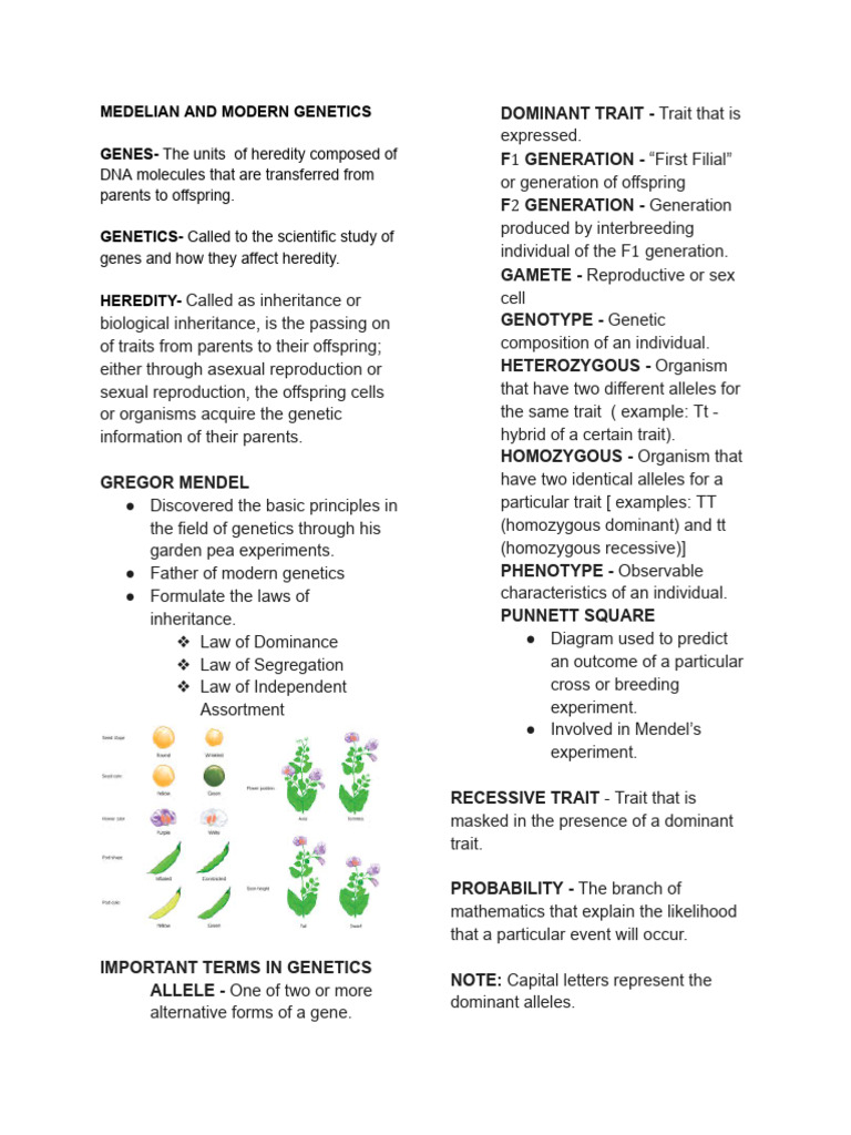 Mendelian and Modern Genetics Overview | PDF | Genotype | Dominance ...