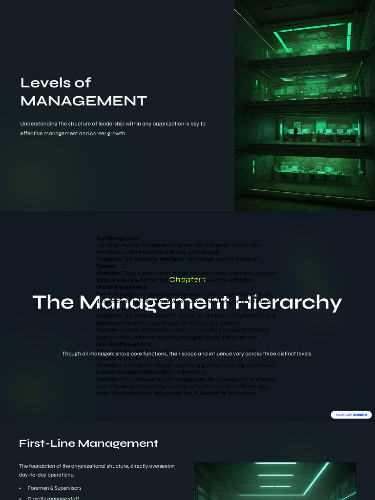 University Management Hierarchy Explained | PDF | University | Leadership