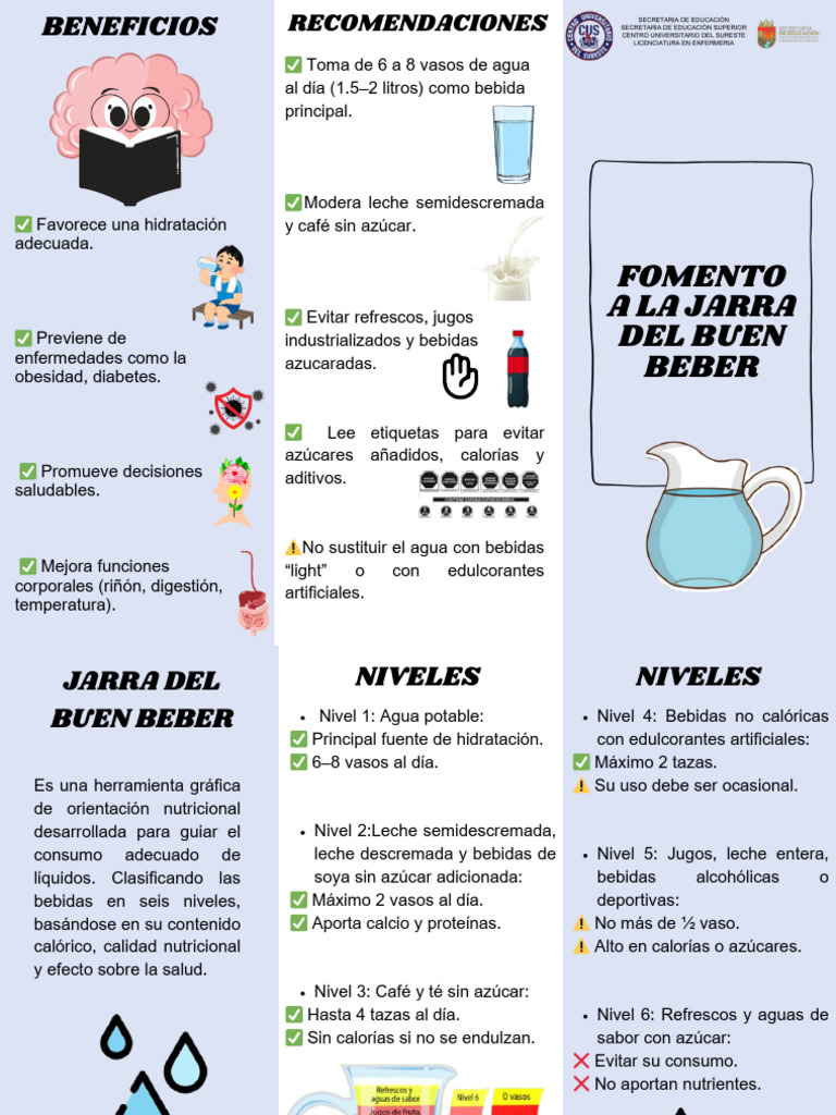Jarra Del Buen Beber | PDF | Bebida | Refresco