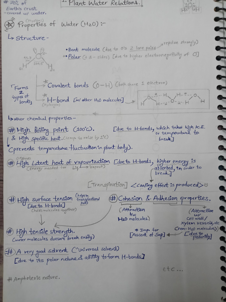 Plant Water Relations Overview | PDF | Osmosis | Cell Biology