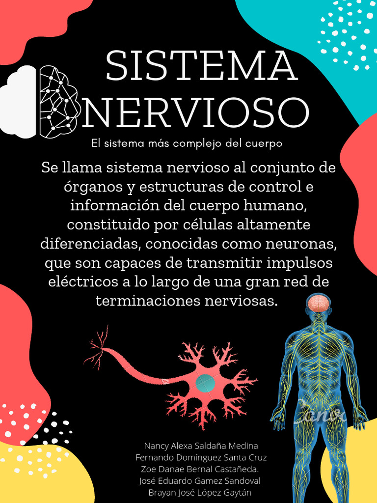 Equipo3 Poster Ev4 Bels | PDF