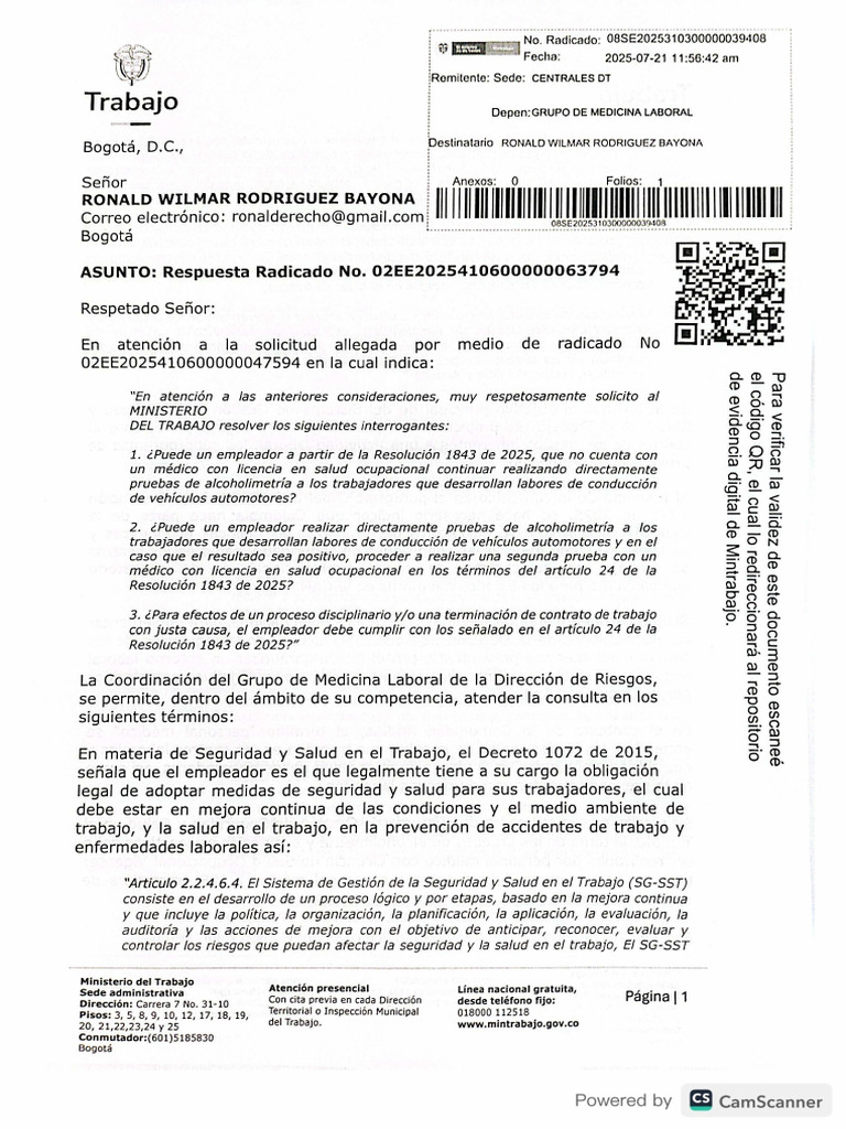 Datos y Alcolimetria Laboral | PDF