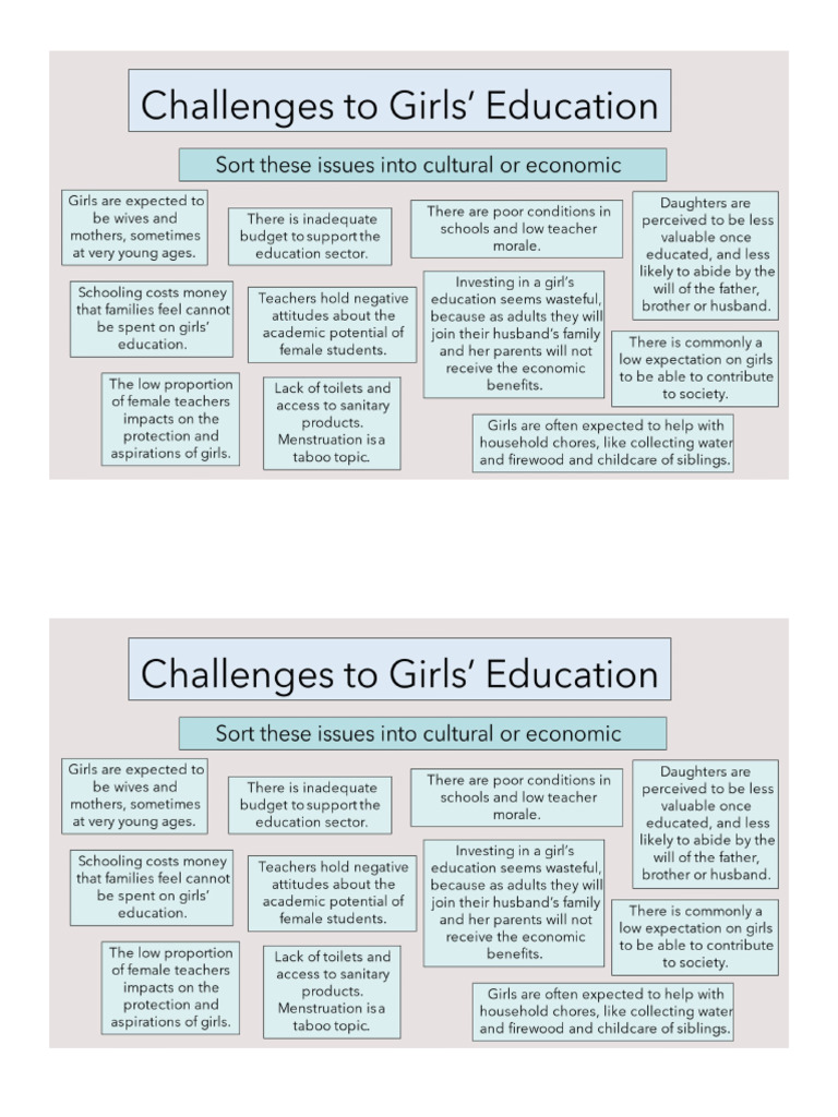 Challenges To Education Sort | PDF