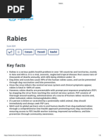 Rabies Safety for Site Workers | PDF | Rabies | Health Care