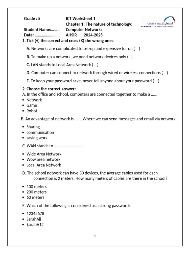 Grade 5 ICT Worksheet: Computer Networks | PDF