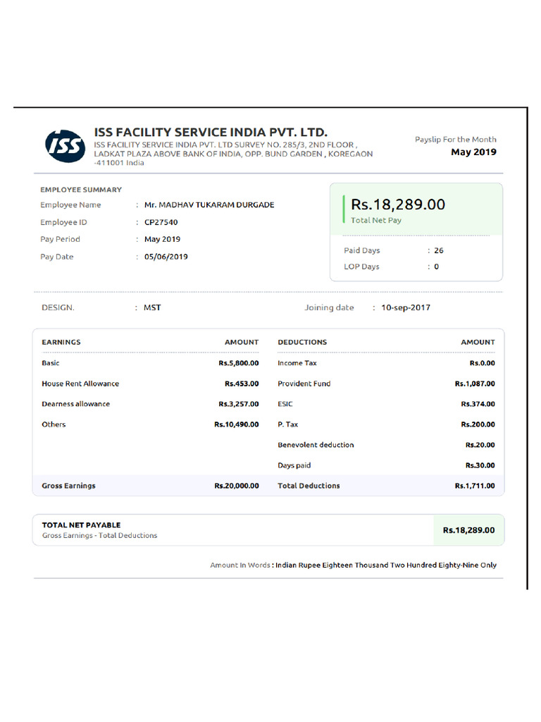 Pay Slip | PDF