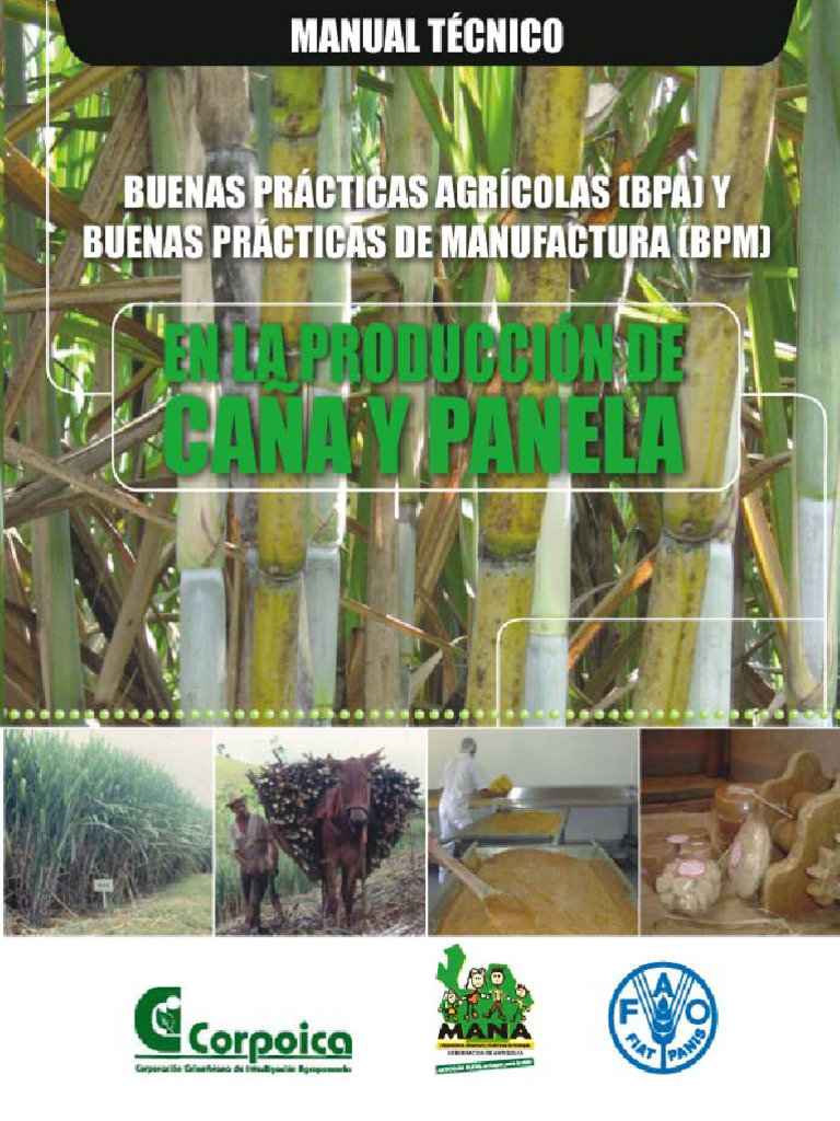 BPA y BPM en Caña y Panela | PDF | Caña de azúcar | Organización de ...
