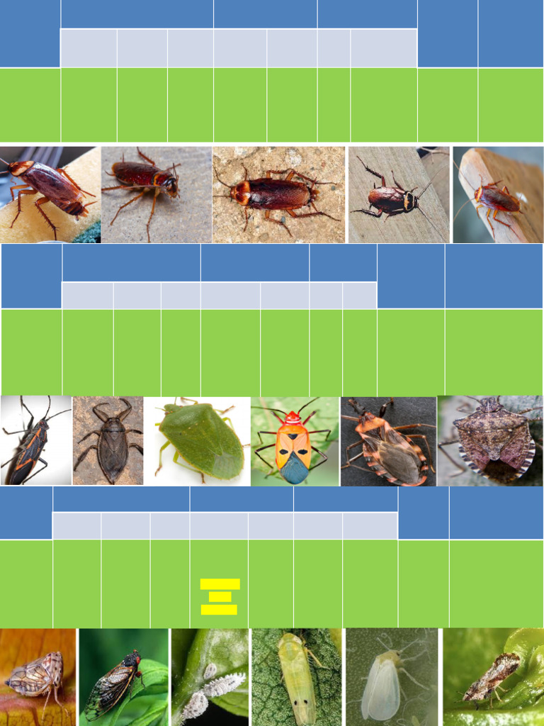 Sent To Students - PPTX 17-20 | PDF | Zoology | Insects
