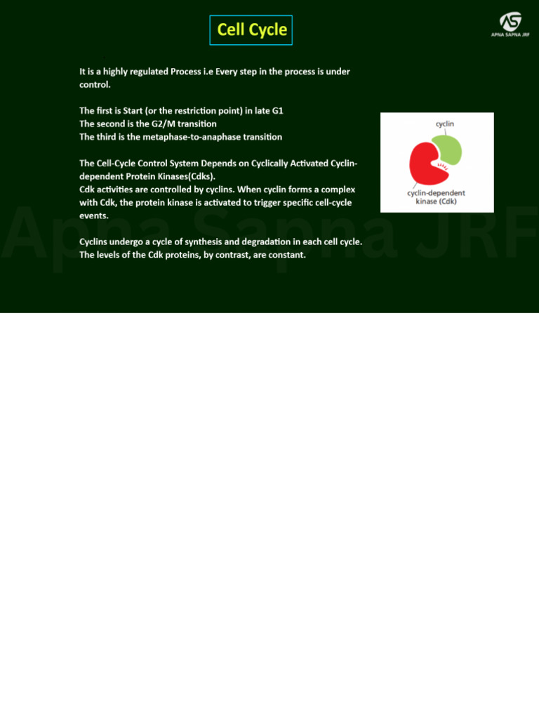 Cell Cycle Regulation-2 | PDF