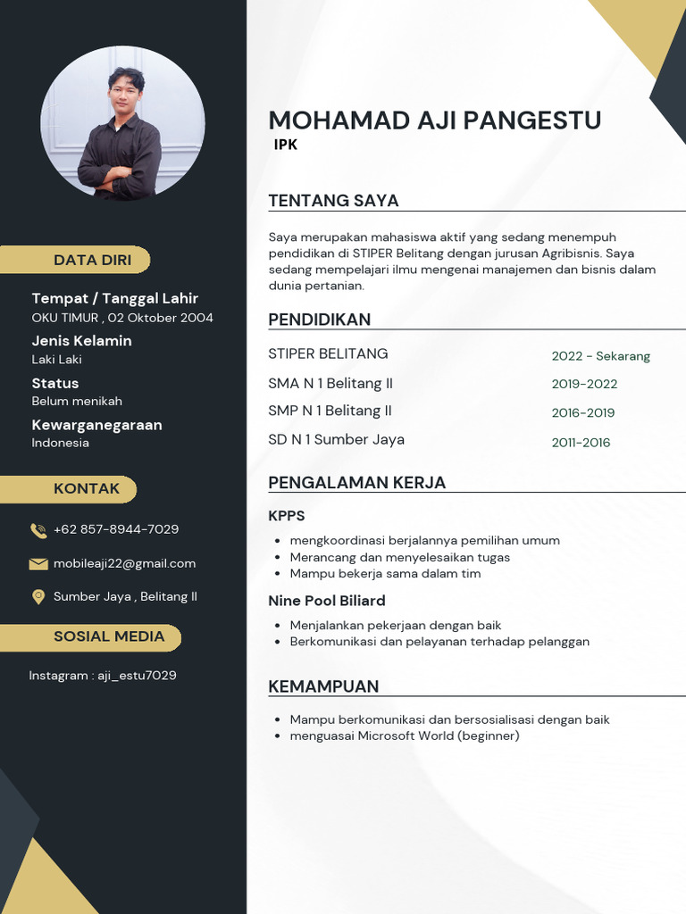 Aji Pangestu CV | PDF