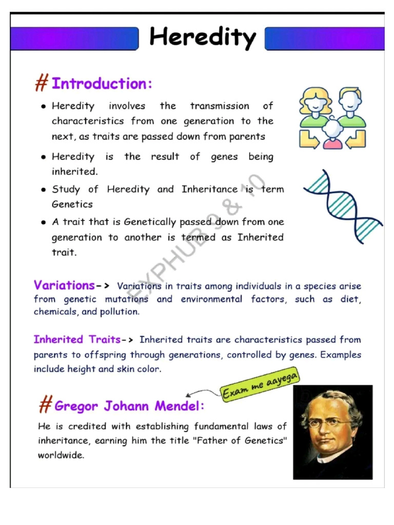 Heredity CH 9 Notes PK | PDF