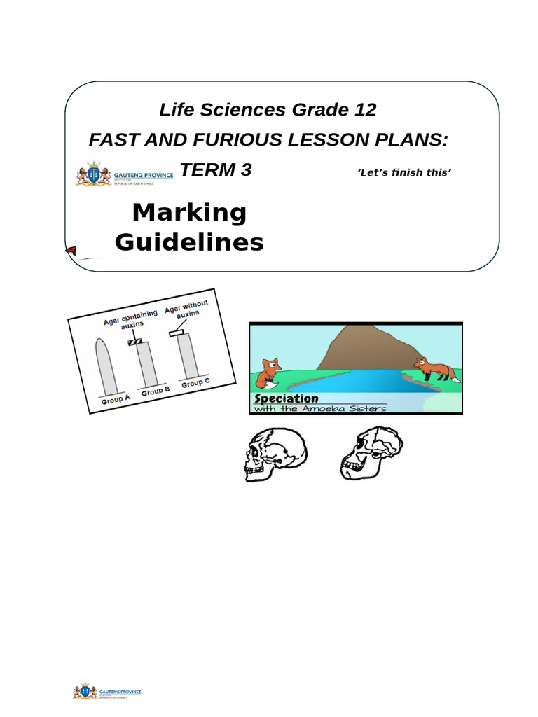 Grade 12 Life Sciences Lesson Plans | PDF | Auxin | Biology