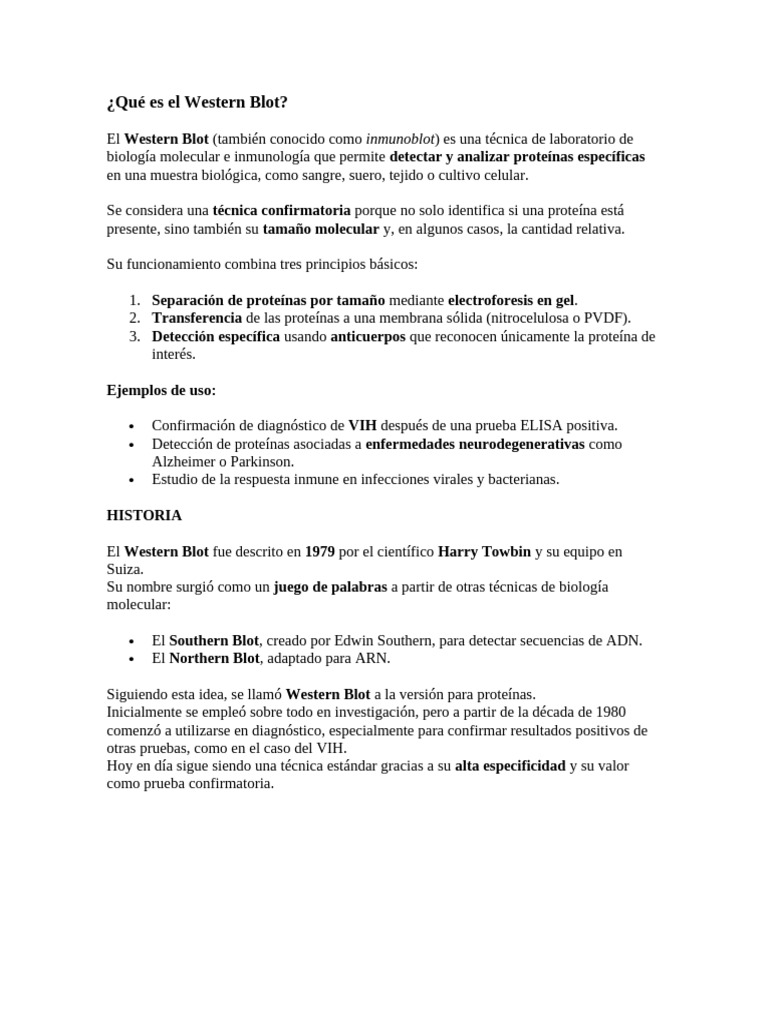 Western Blot | PDF