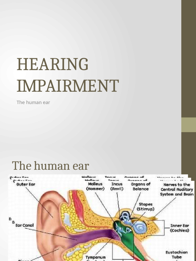 Causes and Management of Hearing Impairment | PDF | Ear | Hearing