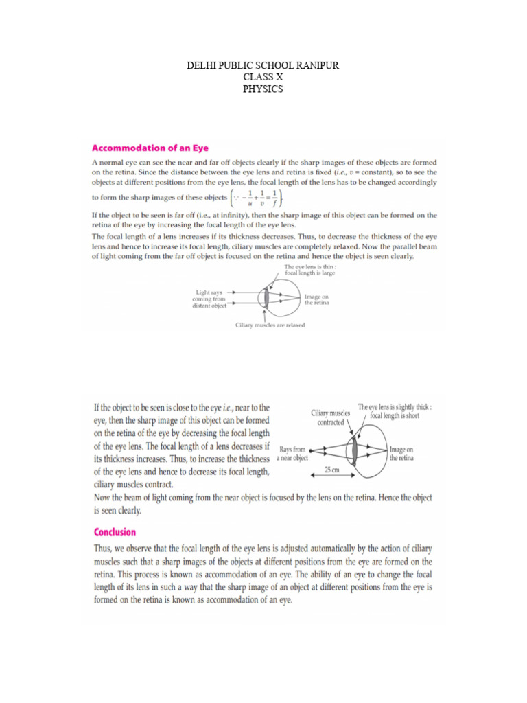 Human Eye Class X | PDF
