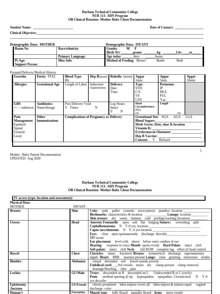 Mother-Baby Client Documentation Form | PDF | Infants | Childbirth