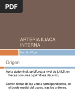 Arteria Iliaca Comun Externa Interna y Sus Ramas Correspondientes | PDF ...